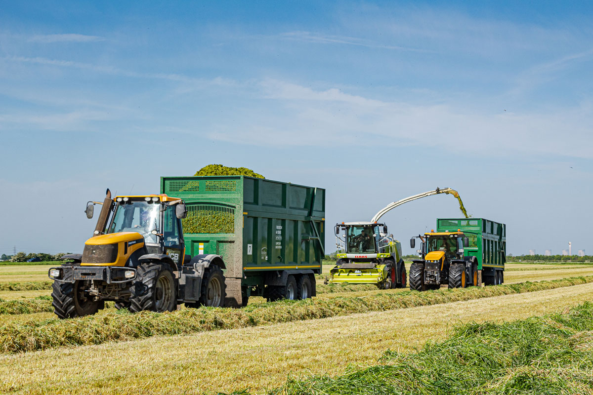 Bailey Trailers | Media